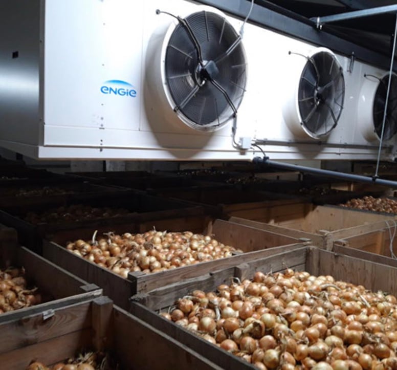 Effective Methods to Prevent Condensation in Food Plants