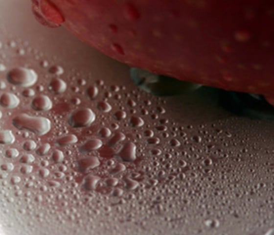 Effective Methods to Prevent Condensation in Food Plants